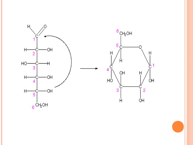 Intro to cho and monosaccharides | PPT | Chemistry | Science