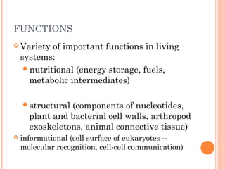 Intro to cho and monosaccharides | PPT