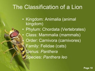 Intro to classification | PPTX | Biological Sciences | Science