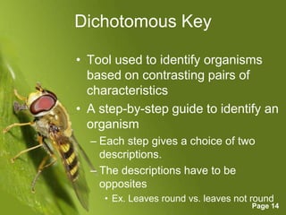 Intro to classification | PPTX