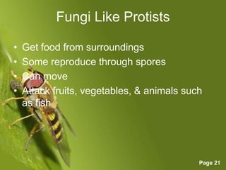 Intro to classification | PPTX