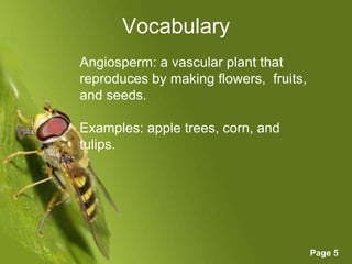 Intro to classification | PPTX