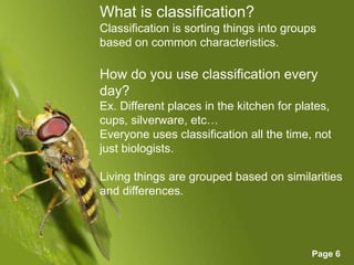 Intro to classification | PPTX