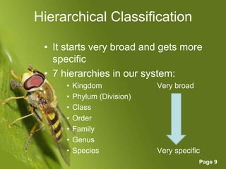Intro to classification | PPTX