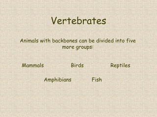 Intro to classification | PPT
