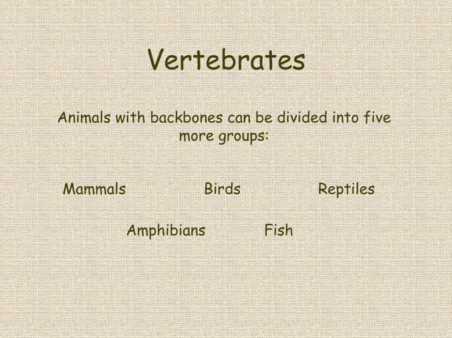 Intro to classification | PPT