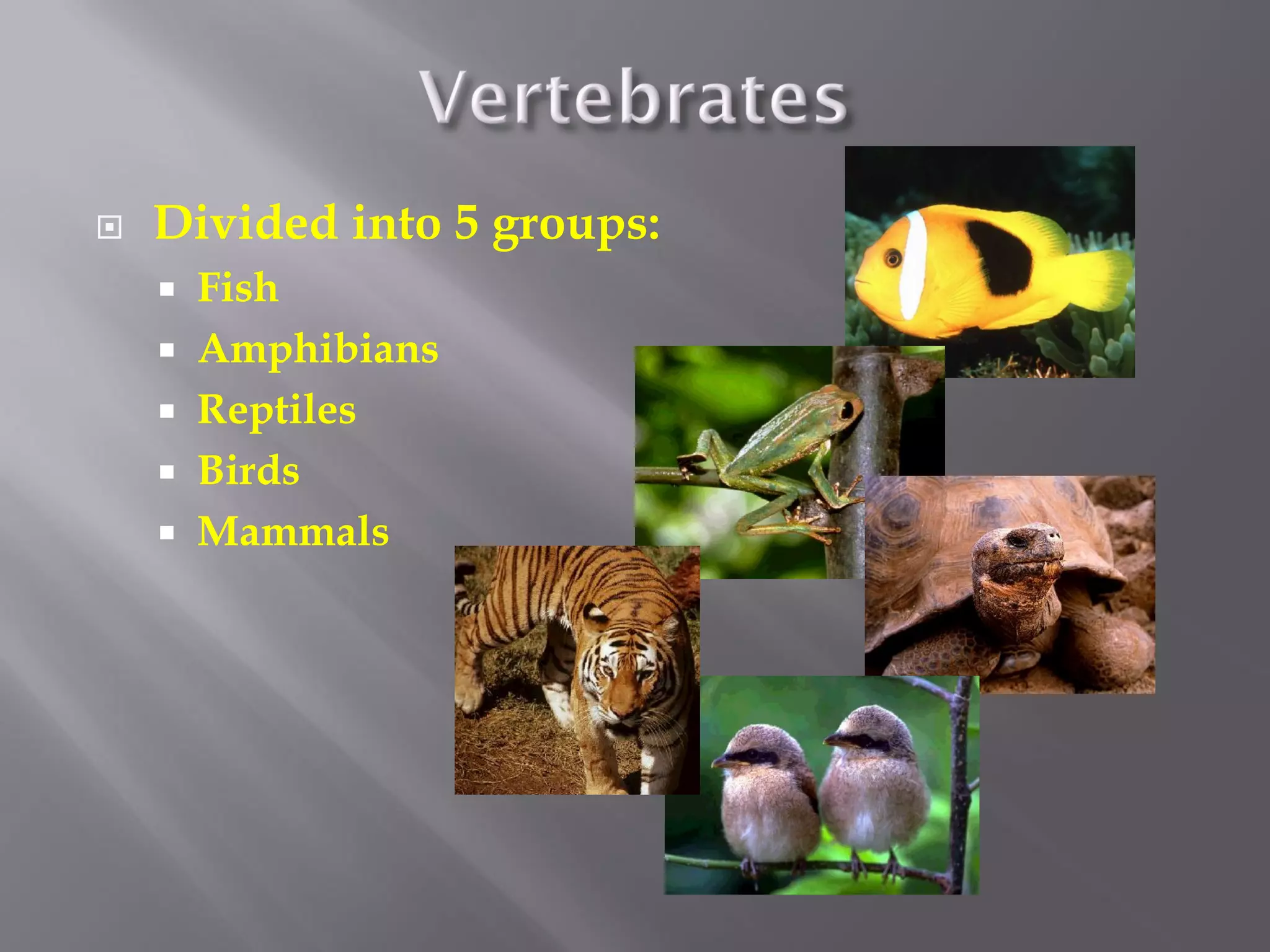 Intro to classification | PDF