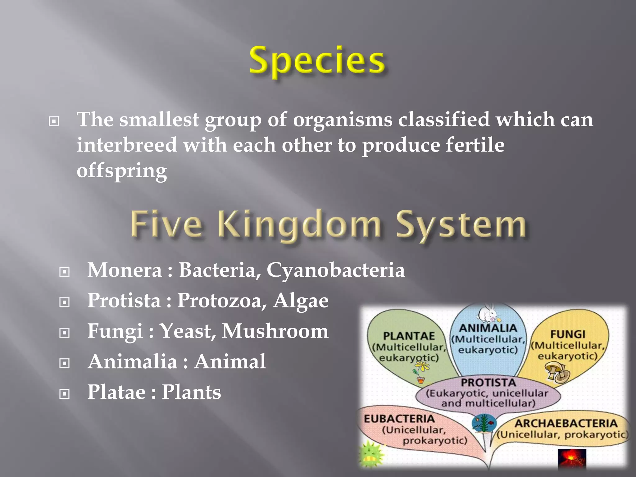 Intro to classification | PDF