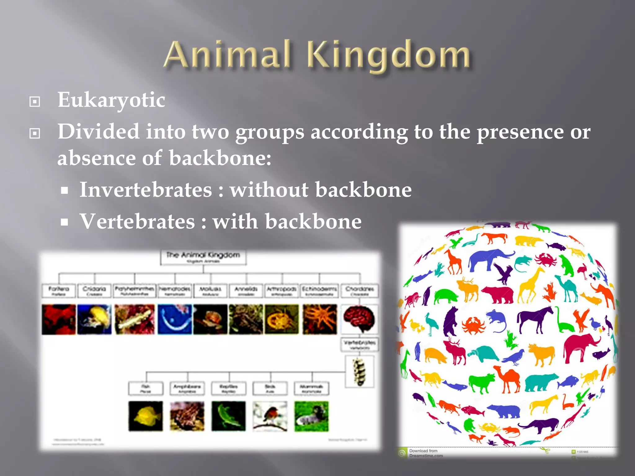 Intro to classification | PDF