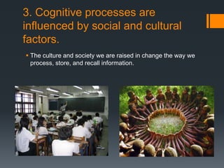 Intro to cognitive psych pp | PPTX