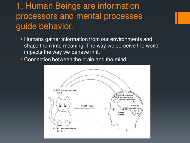 Principles of Cognitive Psychology