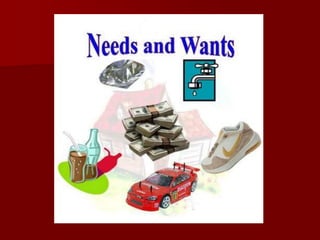 Intro to consumer studies | PPT