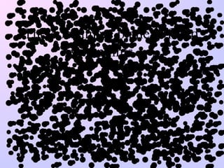 Intro to coordinate plane | PPT