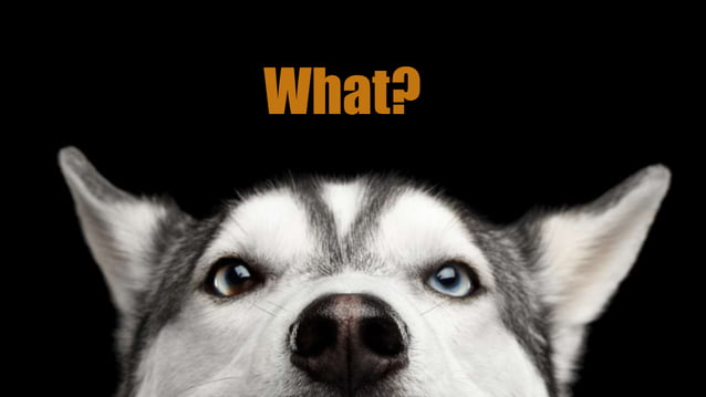 Introduction To Integration Testing With Cypress Ppt