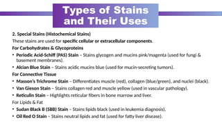 Basics of cytology along with cellular morphology | PPTX