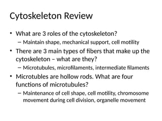 Introduction to Cytoskeleton and Cell Matrix Interaction | PPTX