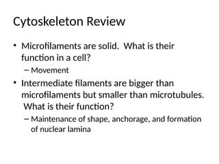 Introduction to Cytoskeleton and Cell Matrix Interaction | PPTX
