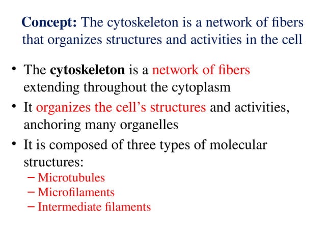 Introduction to Cytoskeleton and Cell Matrix Interaction | PPT