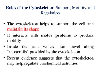Introduction to Cytoskeleton and Cell Matrix Interaction | PPTX