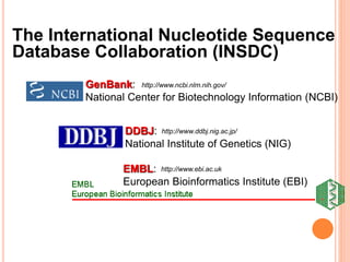 Introduction to Bioinformatics and DatabasesDay1.ppt