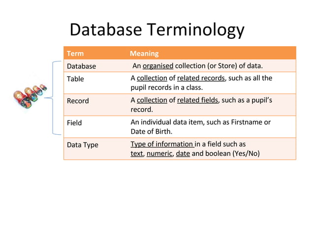 Intro To Databases Y7 | PPT | Databases | Computer Software and ...