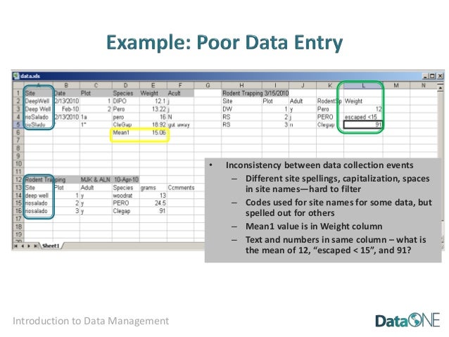 Data Management Best Practices