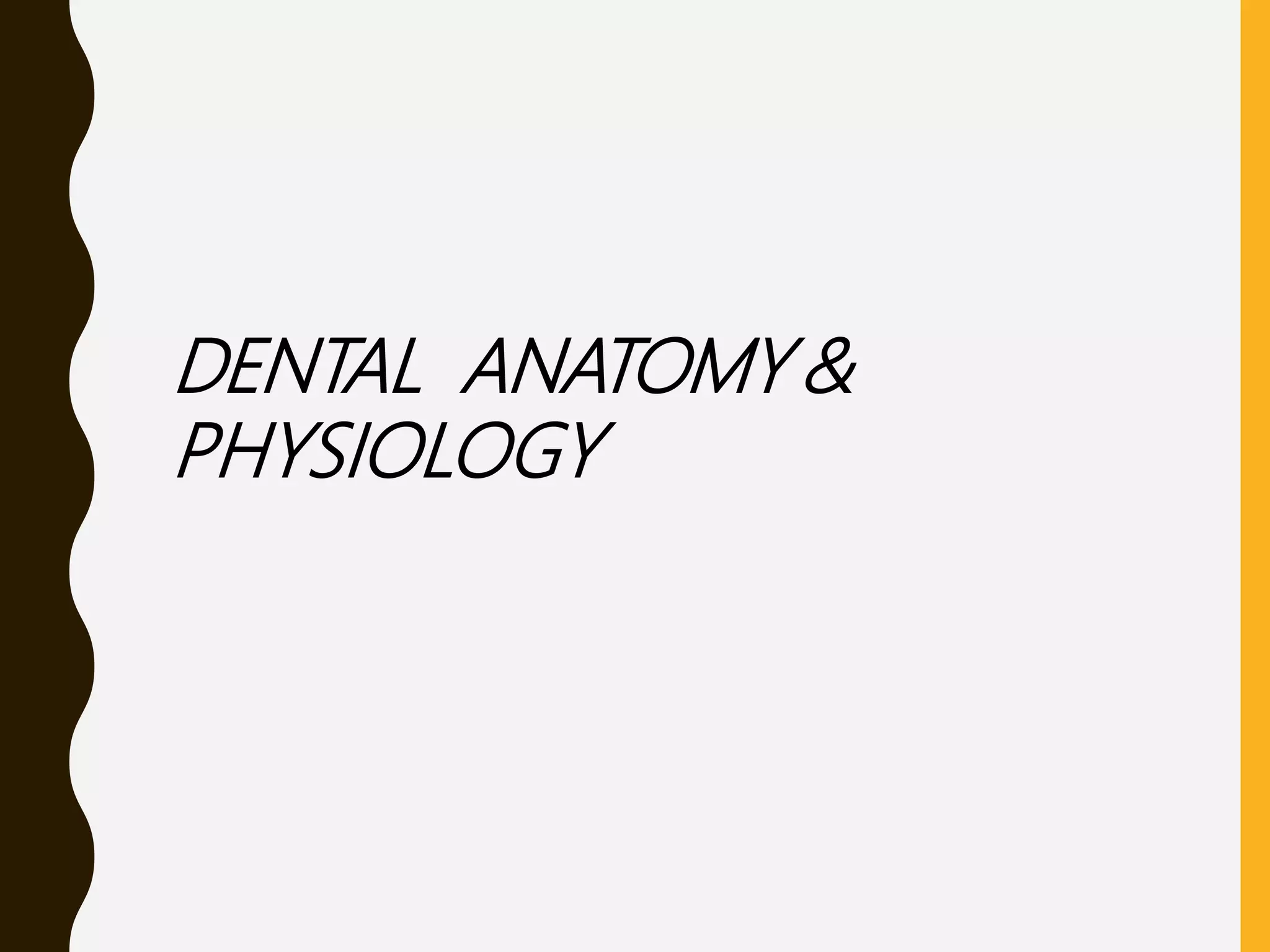 Intro to dental anatomy | PPTX
