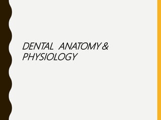Intro to dental anatomy | PPTX