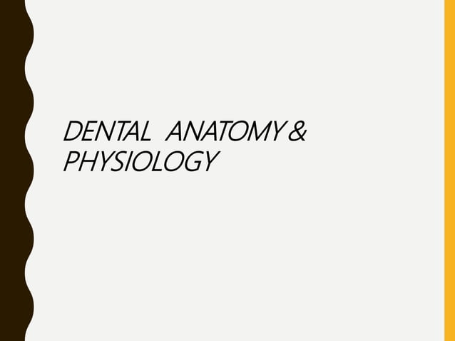 Intro to dental anatomy | PPT