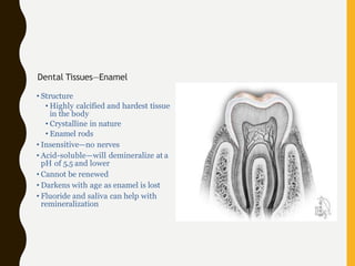 Intro to dental anatomy | PPTX