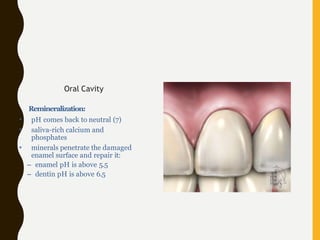 Intro to dental anatomy | PPTX