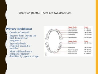 Intro to dental anatomy | PPTX