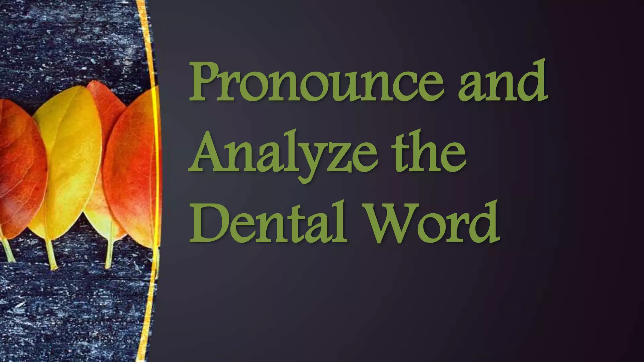 Intro to dental terminology | PPTX