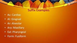 Intro to dental terminology | PPTX