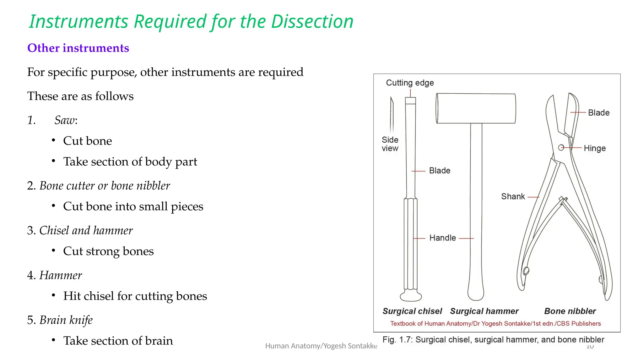 INTRO TO DISSECTION 1st year anatomy MBBS.pptx