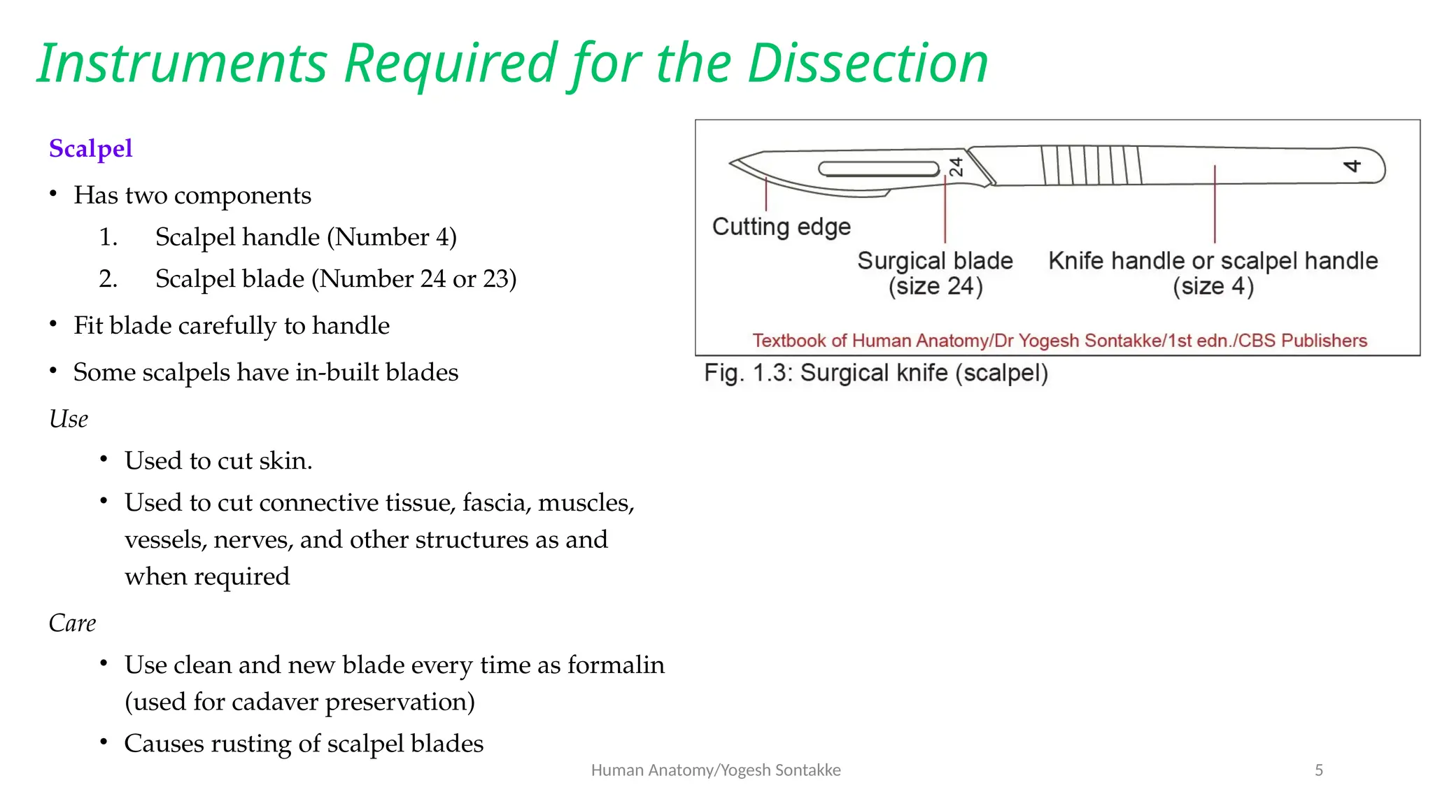 INTRO TO DISSECTION 1st year anatomy MBBS.pptx