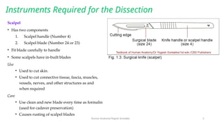 INTRO TO DISSECTION 1st year anatomy MBBS.pptx