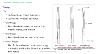 INTRO TO DISSECTION 1st year anatomy MBBS.pptx