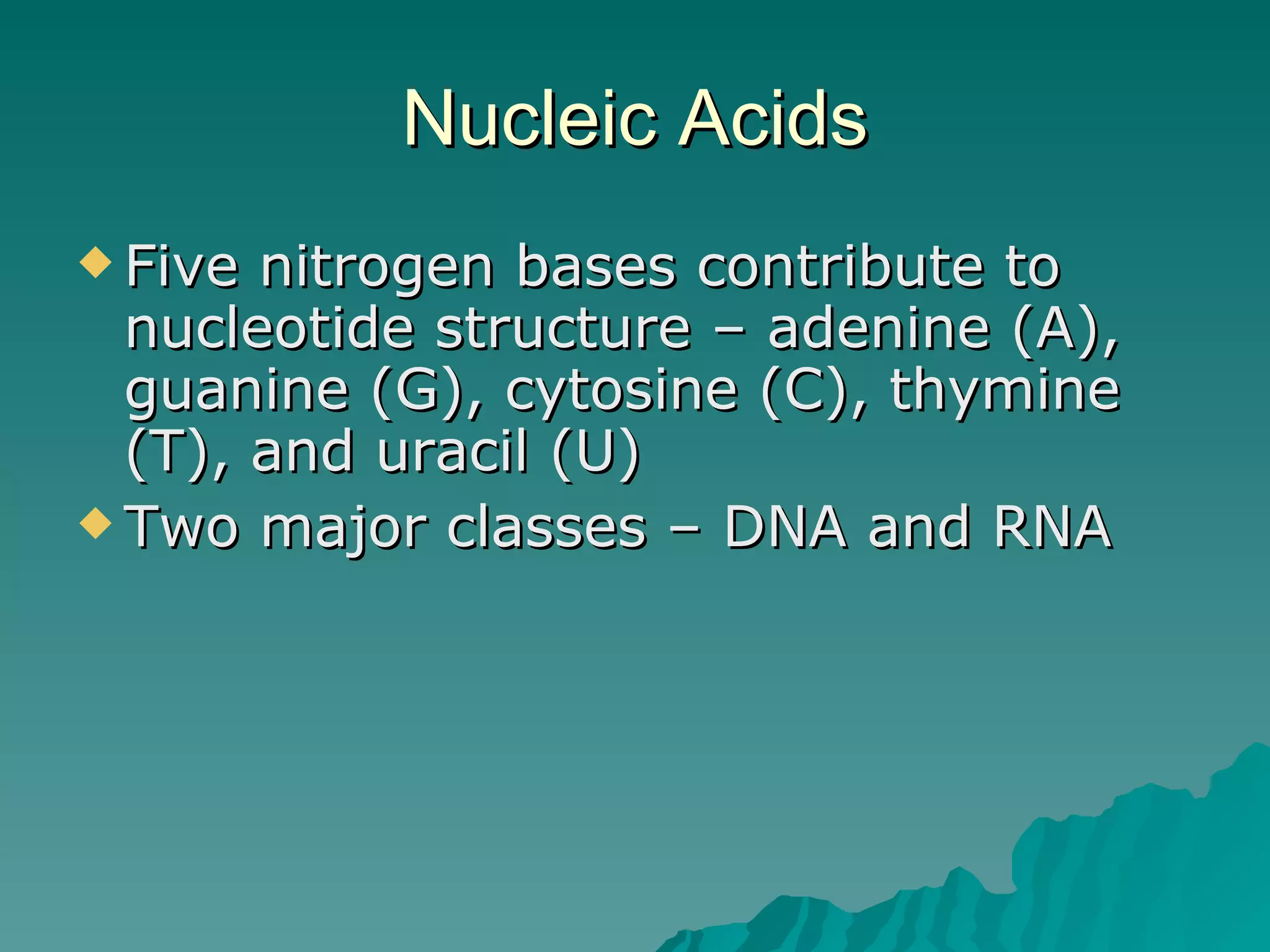 Intro to dna | PPT