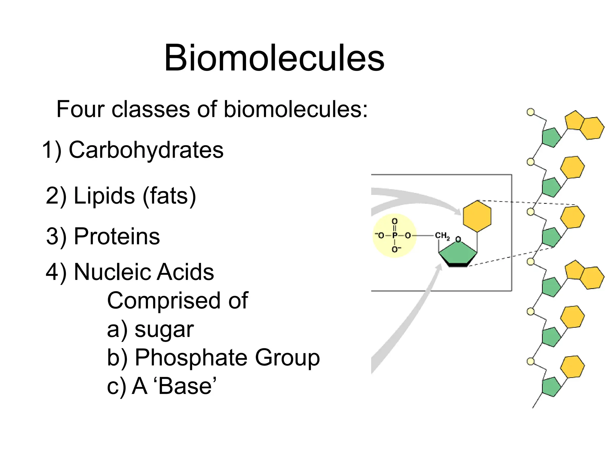 Intro to DNA.ppt........................ | PPT