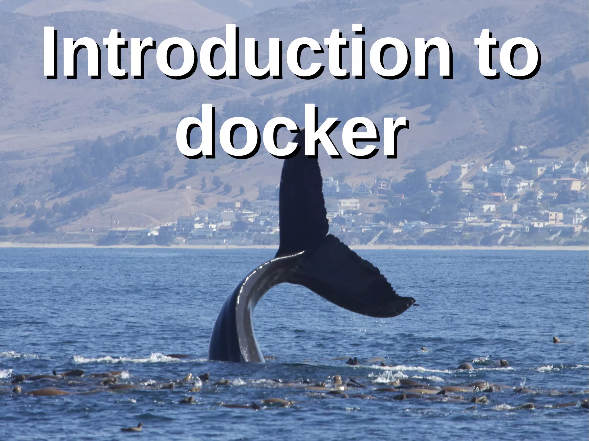 Introduction to docker | PPT