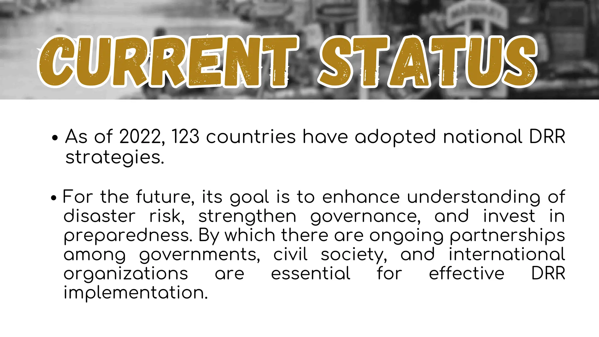 Intro to DRR Disaster Risk Reduction -Report | PDF