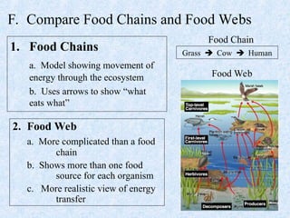 introduction to ecology. Principles of ecologyppt | PPT
