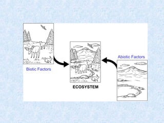 introduction to ecology. Principles of ecologyppt | PPT