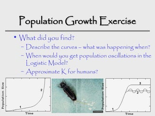 Intro to Ecoogy for the education person - ecosystem ecology.ppt