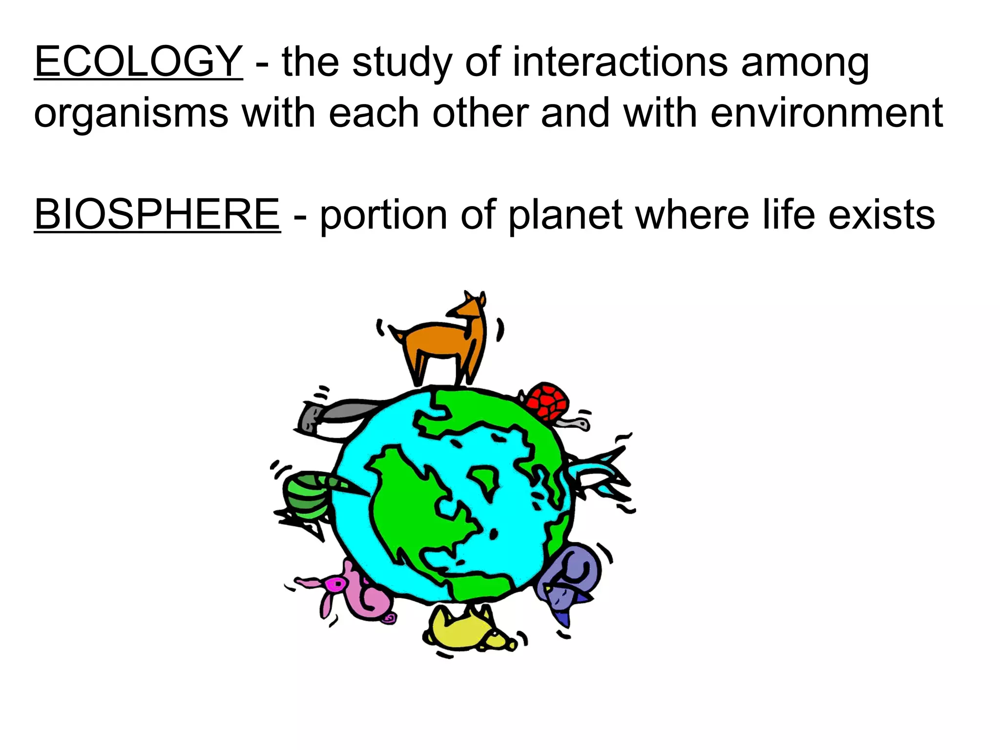 Intro to ecosystems - Adapted from The Biology Corner, Intro to Ecology ...