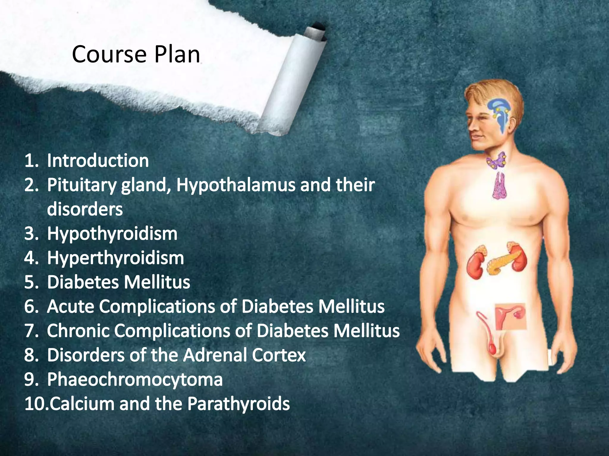 Introduction To Endocrinology Ppt