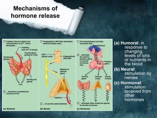 Introduction to endocrinology | PPTX