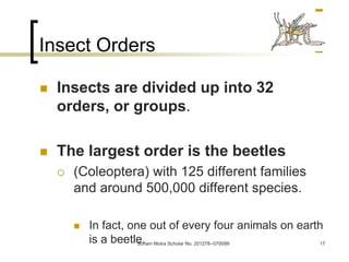 Intro to Entomology.ppt