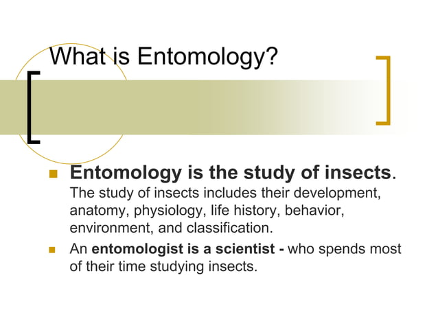 Intro to Entomology.ppt